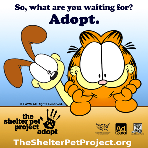 #FeelGoodFriday: Garfield says, ‘Adopt already!’ | Chew On This