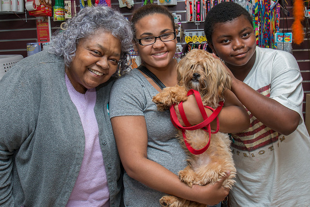 Everything you need to know about getting more pets adopted | Chew On This