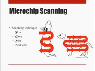 SCAN: How to do a good job scanning for a microchip | Chew On This