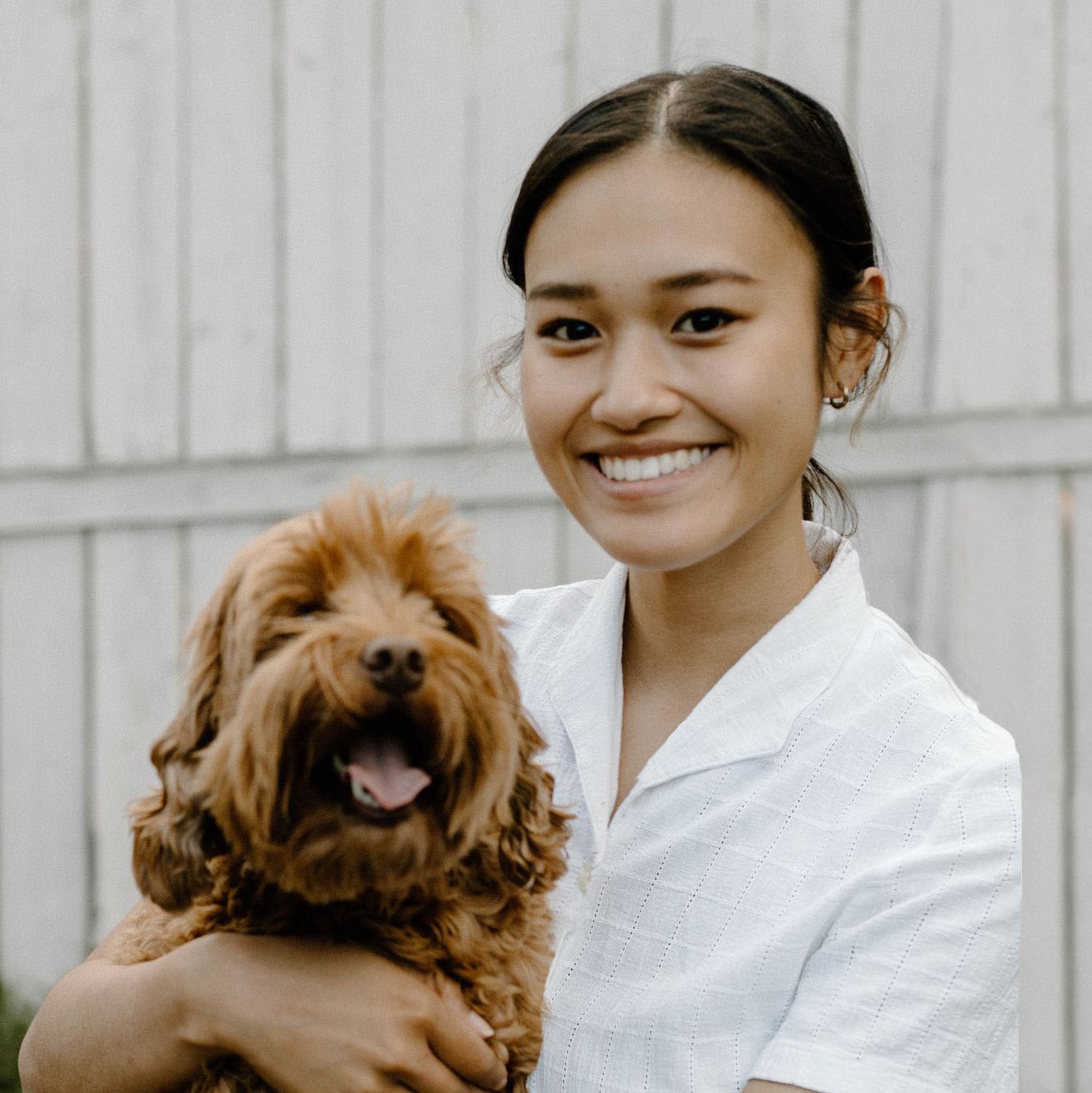 Using community data to understand intake diversion of Owner ...