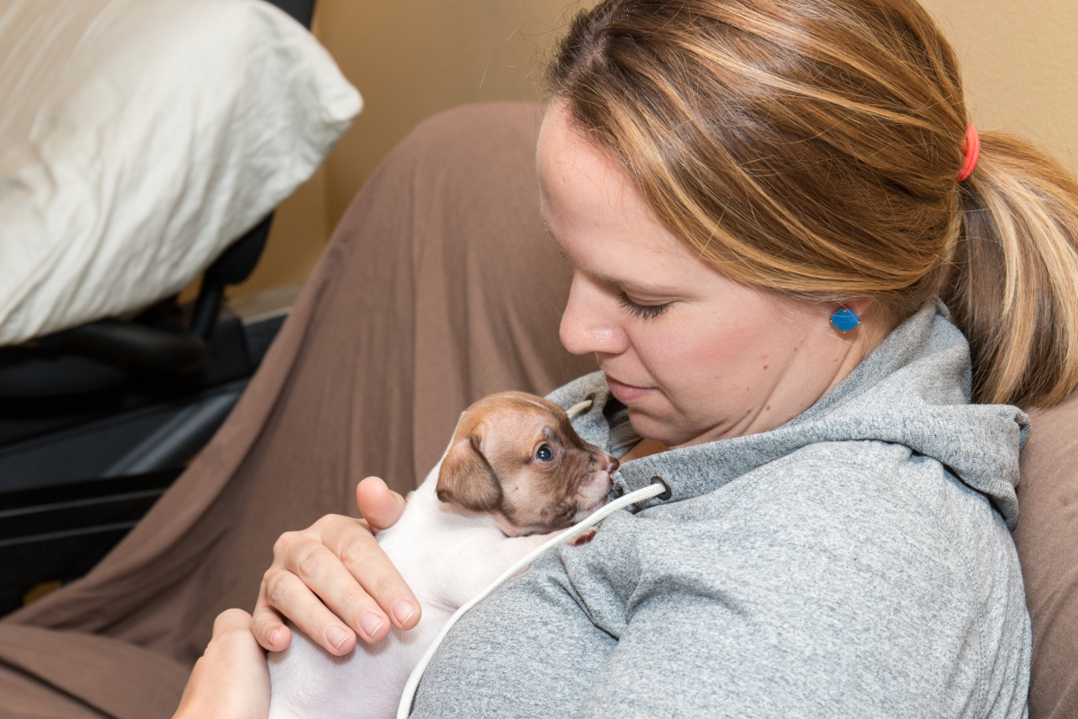 Want to keep your pet foster families happy – and get more of them ...