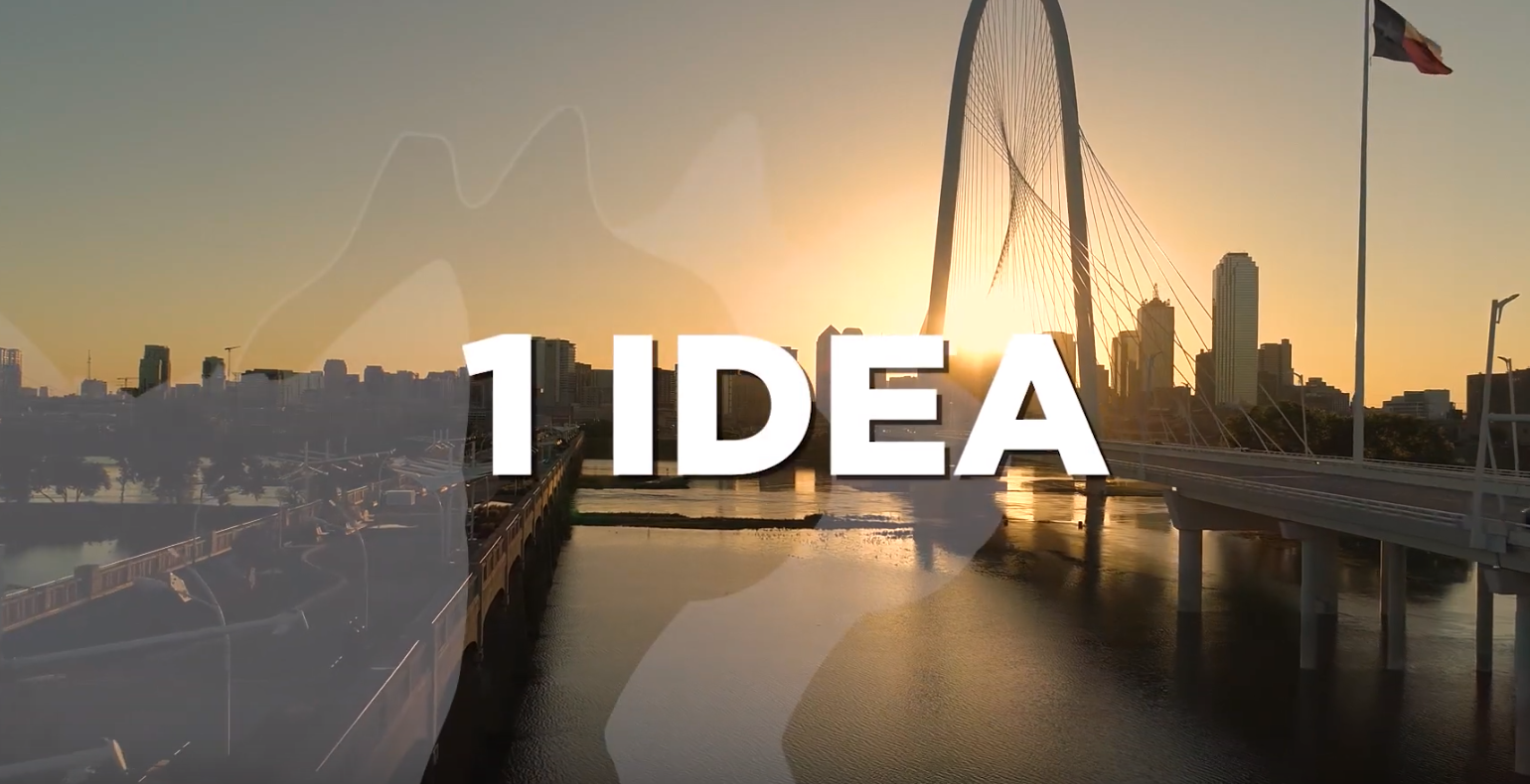 #FeelGoodFriday: Million Cat Challenge has saved 2 million cats! | Chew ...