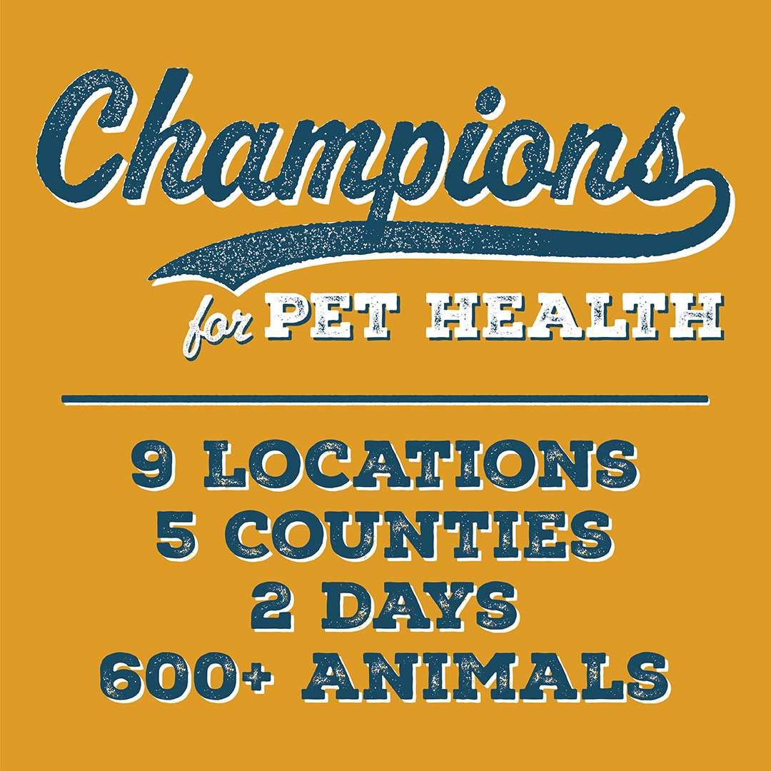 Four national family foundations collaborate to bring free spay/neuter ...