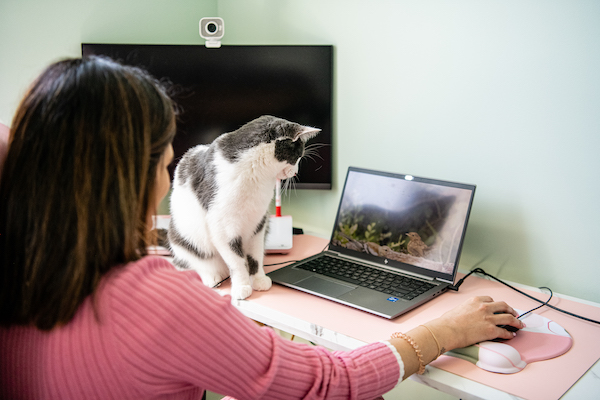 Apply now for Online Instructor-Led Courses! | Chew On This