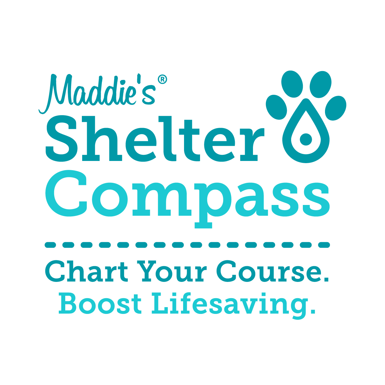 Animal shelters can build a custom lifesaving roadmap with Maddie’s ...